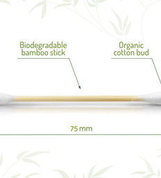 Part I: How to Inspire Others to Go Zero Waste | Blog | Bambaw