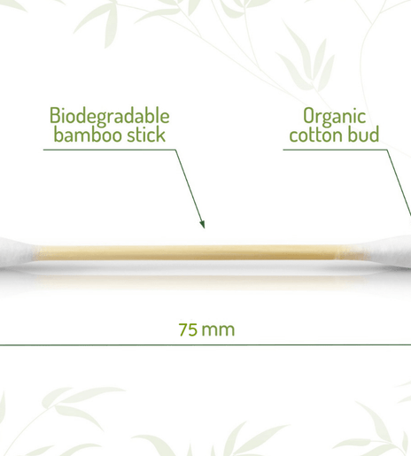 Part I: How to Inspire Others to Go Zero Waste | Blog | Bambaw
