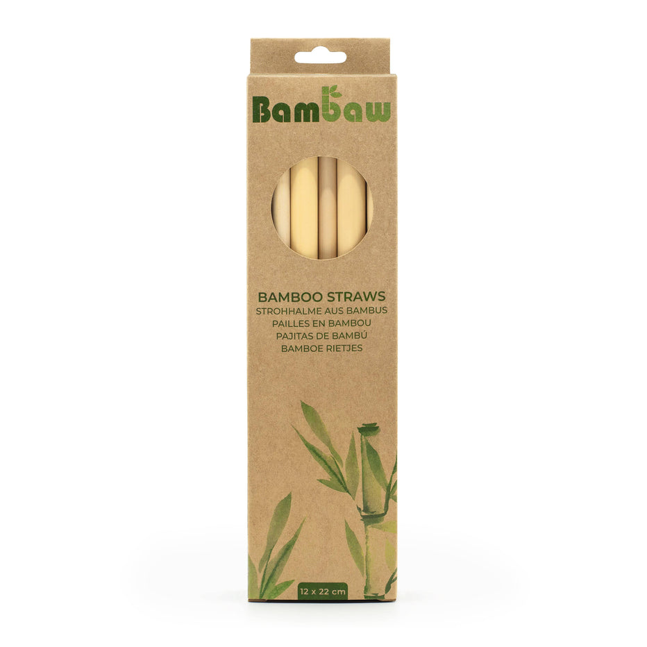 Bamboo Straws | Eco Living | Bambaw